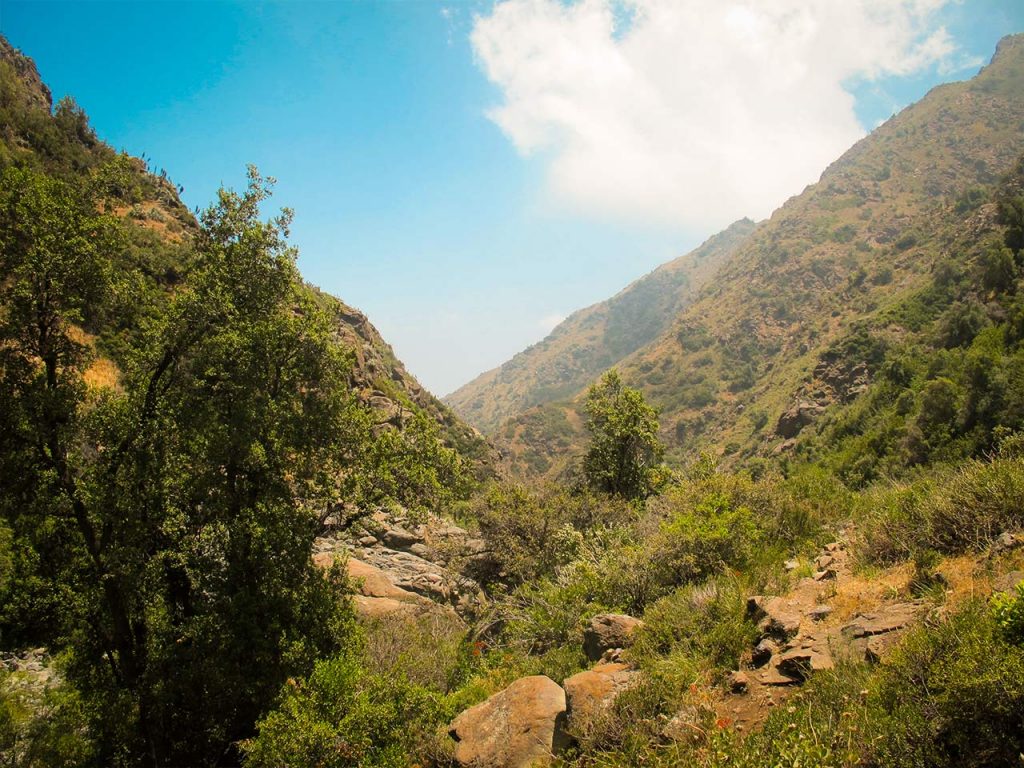 PARQUE QUEBRADA DE MACUL - Rutas de trekking 【2025