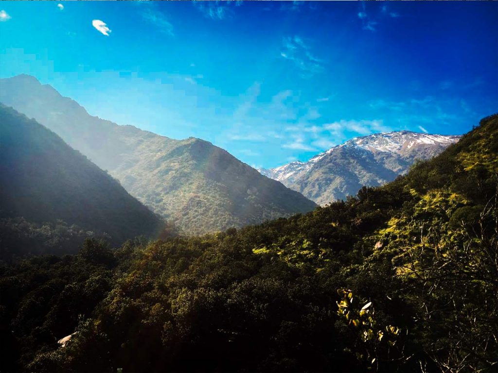 PARQUE QUEBRADA DE MACUL - Rutas de trekking 【2025